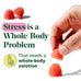 Stress Less Gummy – Semaine Health