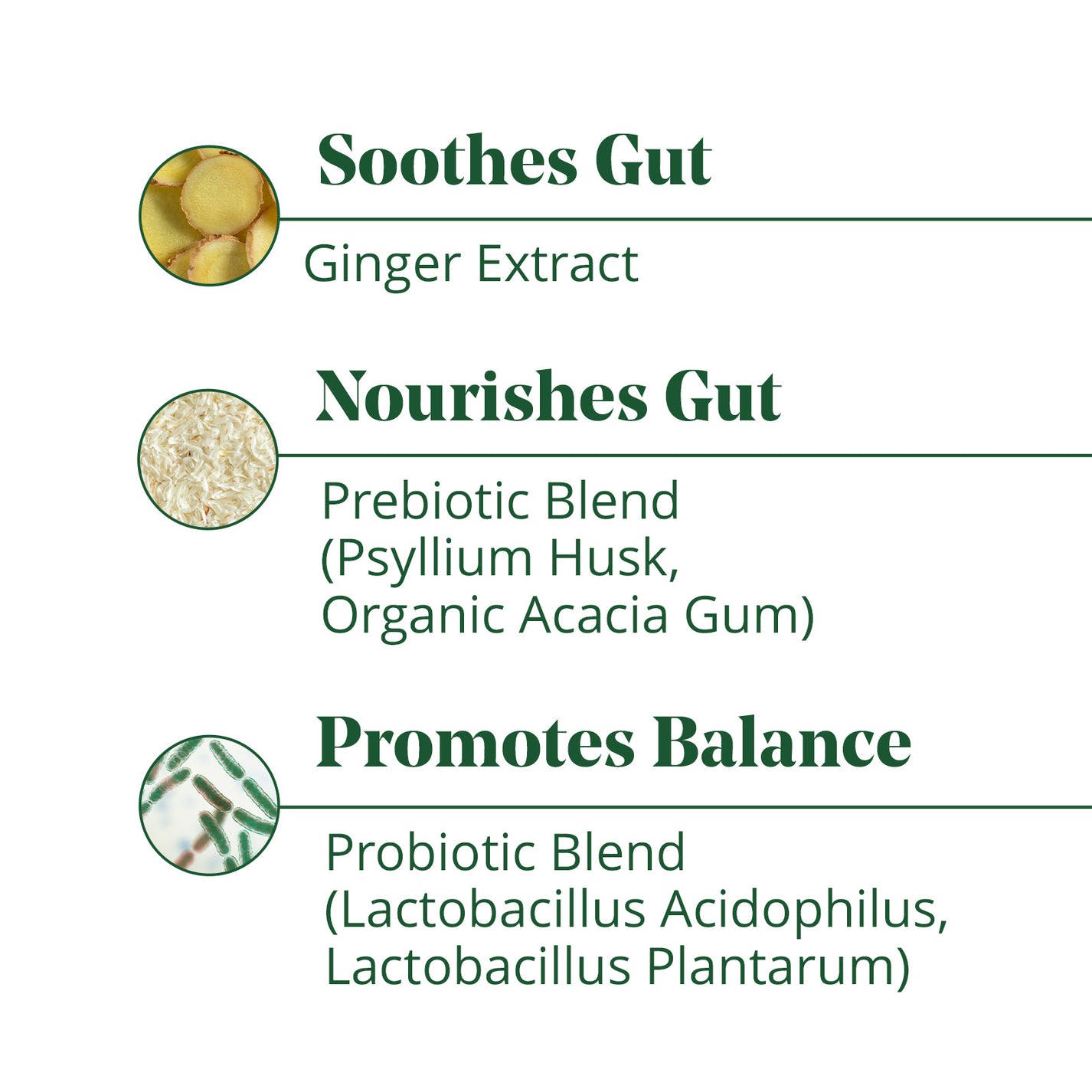 Pre+Probiotic For Women – Semaine Health