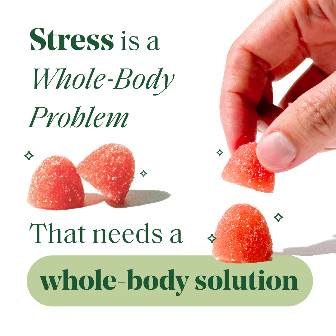 Stress Less Gummy – Semaine Health